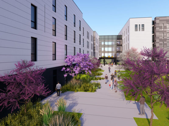 Marsico Hall – Falcon Engineering